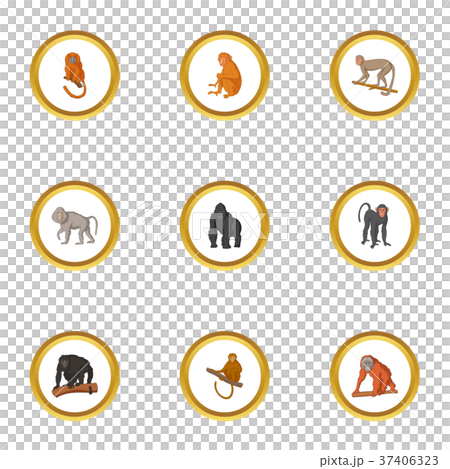 Ape icons set, cartoon style - Stock Illustration [37406323] - PIXTA