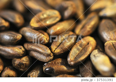 Roasted spelt (close-up, full-frame)の写真素材 [37531391] - PIXTA