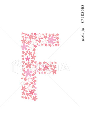 sakura_fのイラスト素材 [37588668] - PIXTA
