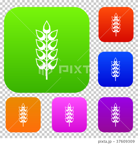 Long spica set color collection - Stock Illustration [37609309] - PIXTA