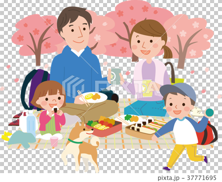 Hanami family - Stock Illustration [37771695] - PIXTA