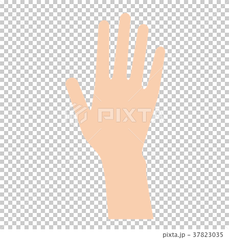 hand - Stock Illustration [37823035] - PIXTA