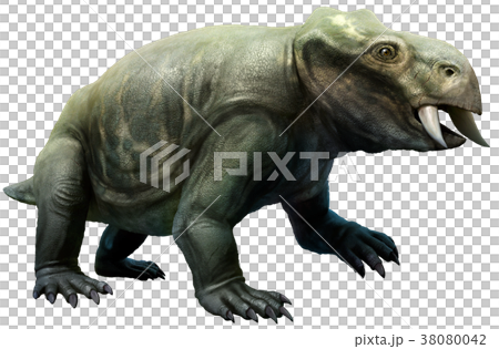 Placerias - Stock Illustration [38080042] - PIXTA