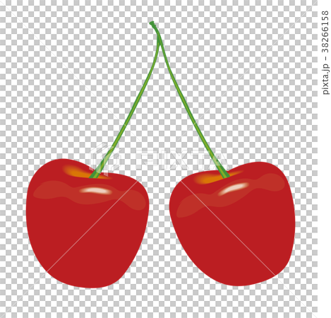 Illustration of twin cherries | Cherry fruit |... - Stock Illustration ...