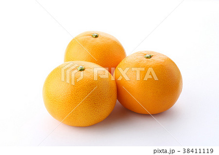 せとかの写真素材 [38411119] - PIXTA