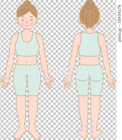 Female body whole body - Stock Illustration [38434276] - PIXTA