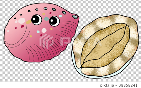 Megai Abalone character - Stock Illustration [38858241] - PIXTA