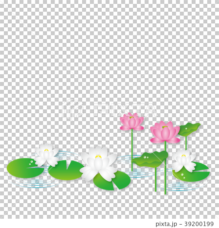 Quibble - Stock Illustration [39200199] - PIXTA