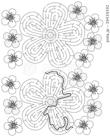 Easy cherry flowers mazeのイラスト素材 [39439392] - PIXTA