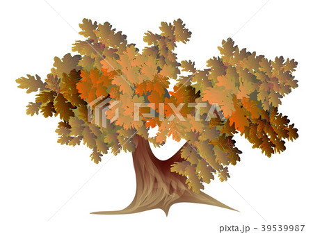 abstract autumn oakのイラスト素材 [39539987] - PIXTA