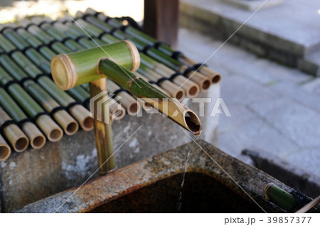 梨木神社の染井-1の写真素材 [39857377] - PIXTA