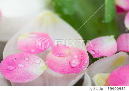 nature elements, calmness, harmony concept. thereの写真素材 [39900982] - PIXTA