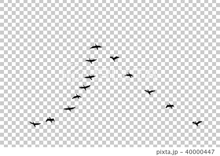 Silhouette of a flying bird in V-shape - Stock Illustration [40000447 ...