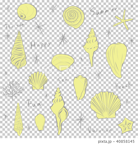 Seashell vector material summer gray & yellow - Stock Illustration ...