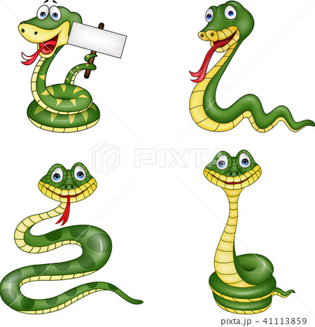snake collection setのイラスト素材 [41113859] - PIXTA