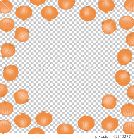 Onion illustration vegetable frame - Stock Illustration [41343277] - PIXTA
