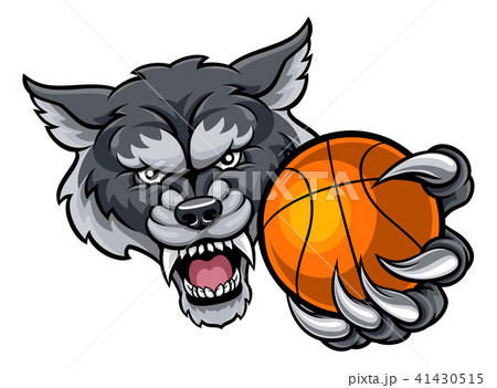Wolves bball store