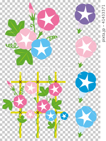 Asagao material - Stock Illustration [41433371] - PIXTA