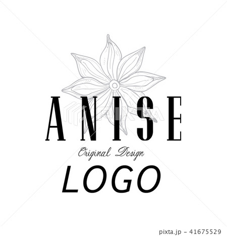 Anise logo original design, culinary spice...のイラスト素材 [41675529] - PIXTA