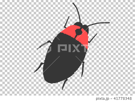 Firefly, Genji firefly - Stock Illustration [41778348] - PIXTA