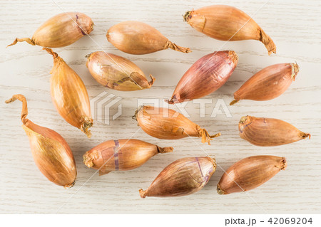 Fresh raw long shallot onion on grey woodの写真素材 [42069204] - PIXTA
