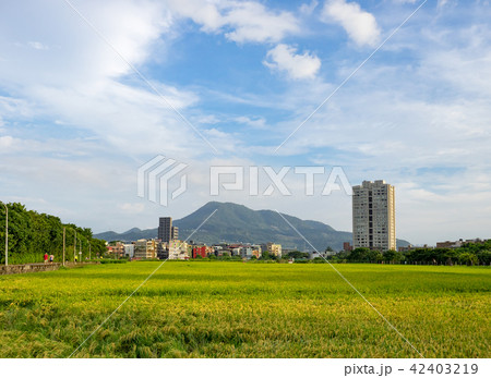 countryside in Taipeiの写真素材 [42403219] - PIXTA