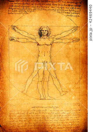 14th century anatomy art by Leonardo Da Vinci の写真素材 [42469440] - PIXTA