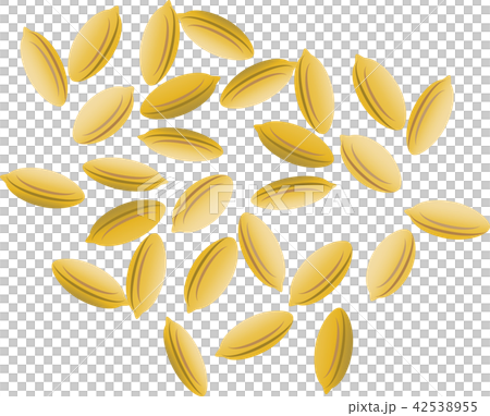 Chaff - Stock Illustration [42538955] - PIXTA