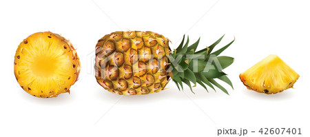 Pineapple on a white backgroundのイラスト素材 [42607401] - PIXTA