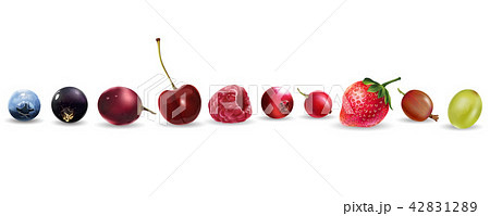 Collection of Berriesのイラスト素材 [42831289] - PIXTA