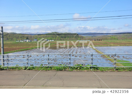 train view of Furano Line Hokkaido at japanの写真素材 [42922356] - PIXTA