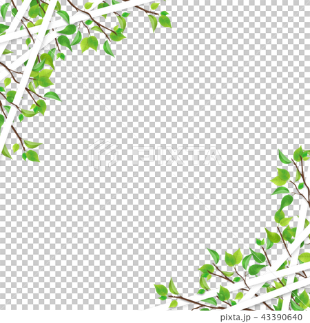 Fresh green line frame (PNG, cutout, square) - Stock Illustration ...