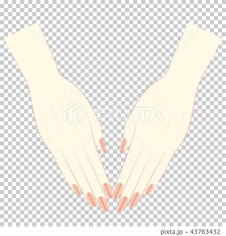 Body parts female hands - Stock Illustration [43763432] - PIXTA