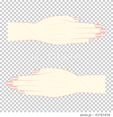 Body parts female hands - Stock Illustration [43763436] - PIXTA