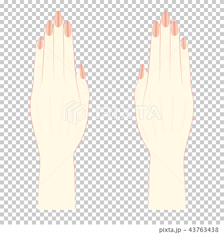 Body parts female hands - Stock Illustration [43763438] - PIXTA