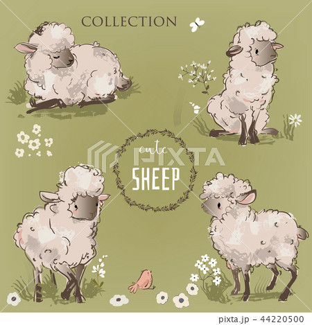 cute sheeps collectionのイラスト素材 [44220500] - PIXTA