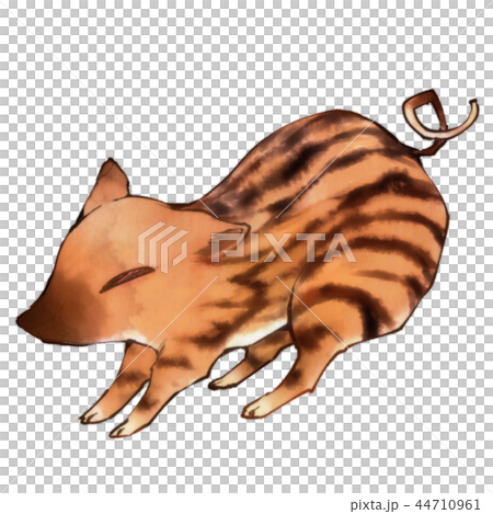 Uribo 07-插圖素材 [44710961] - PIXTA圖庫