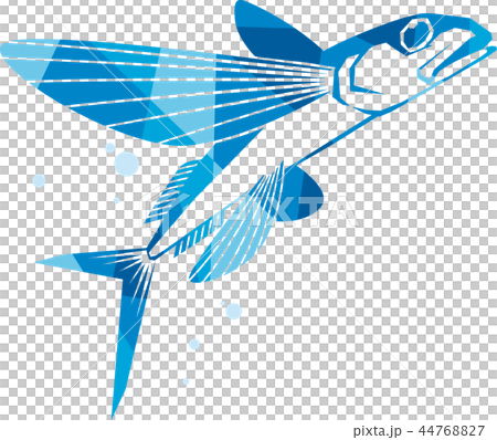 Print style flying fish Right - Stock Illustration [44768827] - PIXTA