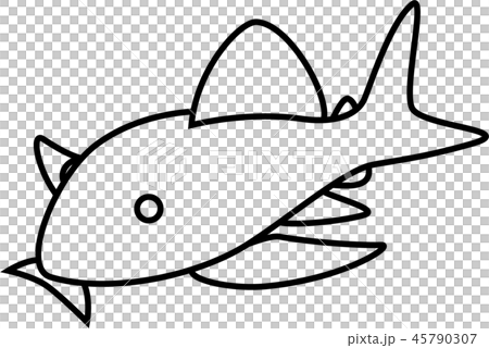 Pleco - Stock Illustration [45790307] - PIXTA