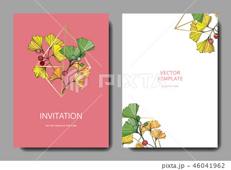 Vector. Ginkgo leaf. Wedding pink background...のイラスト素材 [46041962] - PIXTA