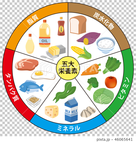 Image illustration of the five major nutrients - Stock Illustration ...