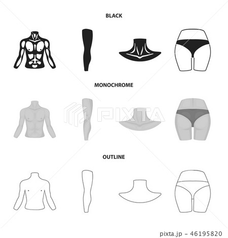 Torso, leg, neck and buttocks. Body parts set...のイラスト素材 [46195820] - PIXTA