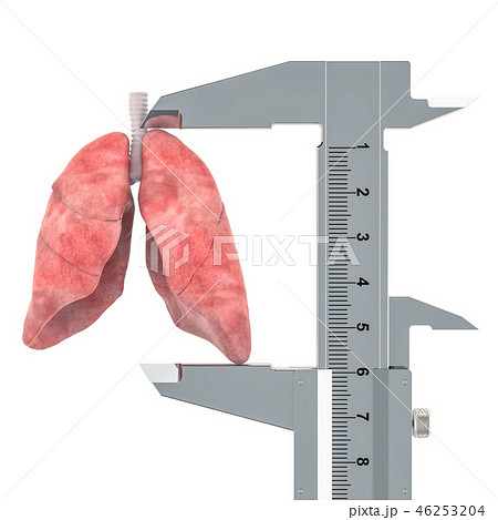 Human lungs with vernier caliperのイラスト素材 [46253204] - PIXTA