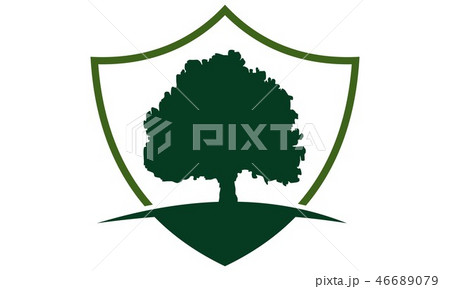 Tree Shieldのイラスト素材 [46689079] - PIXTA