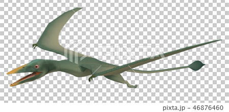 Winged dragon: Uday morphodon - Stock Illustration [46876460] - PIXTA
