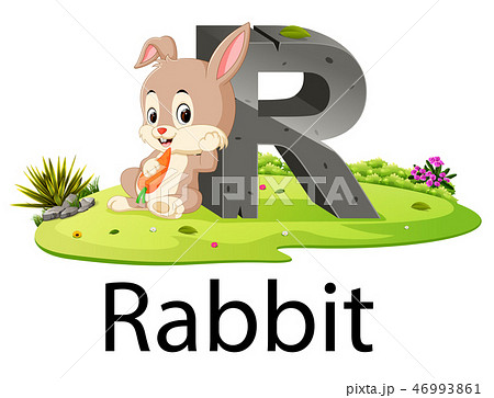 zoo animal alphabet R for Rabbit のイラスト素材 [46993861] - PIXTA
