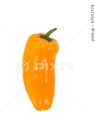 mini yellow peppers on white isolate background の写真素材 [47051478] - PIXTA