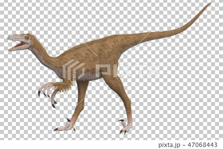 Dinosaur: Troodon - Stock Illustration [47068443] - PIXTA