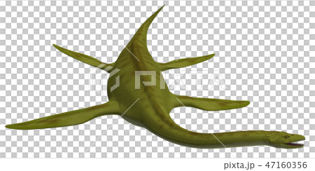 Muraenosaurus - Stock Illustration [47160356] - PIXTA