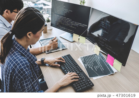 Two professional programmers cooperating at Developing programmi ...
